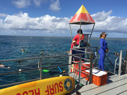 Australia’s Great Barrier Reef: A Bucket List Experience | Planet Janet ...