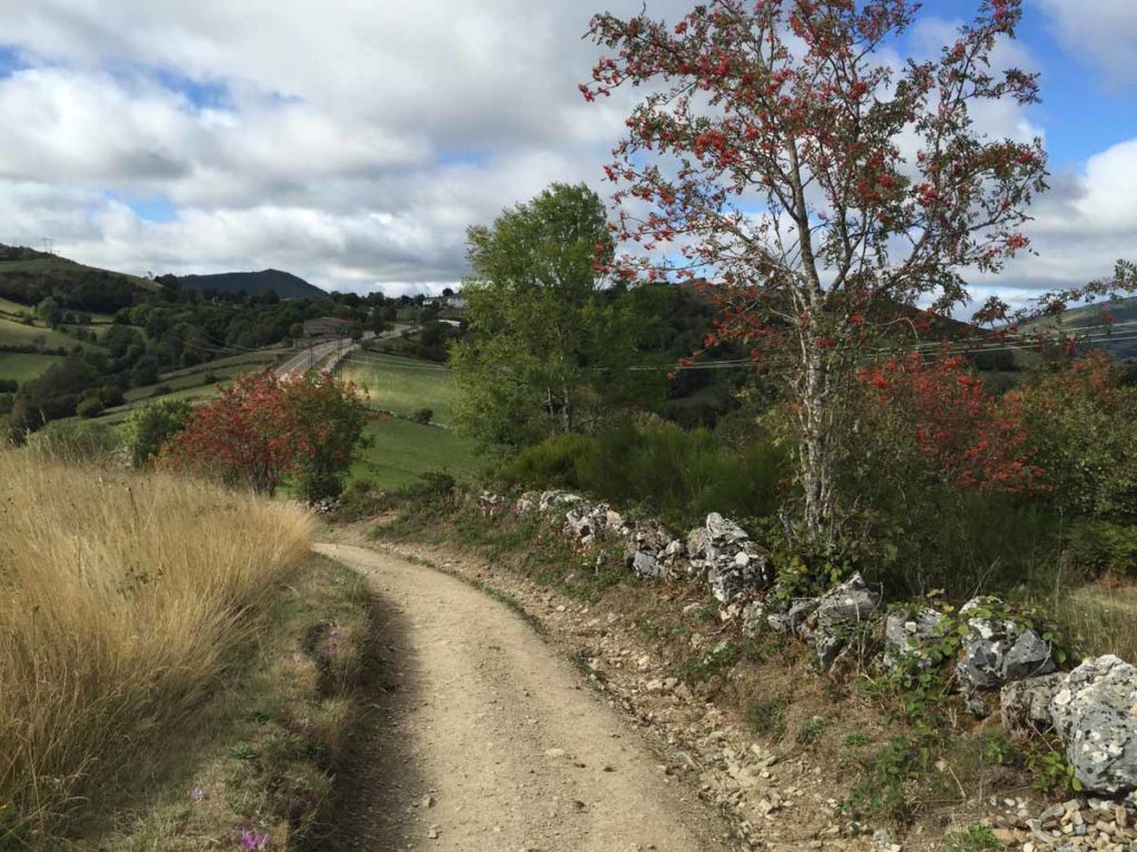 Walking Spain’s Camino: A Journey of the Spirit That Inspires ...