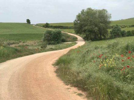 Spain Camino #2 – Highlights of Another Grand Pilgrim Adventure ...
