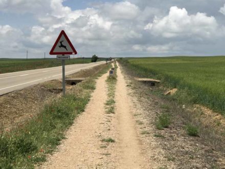 Spain Camino #2 – Highlights of Another Grand Pilgrim Adventure ...