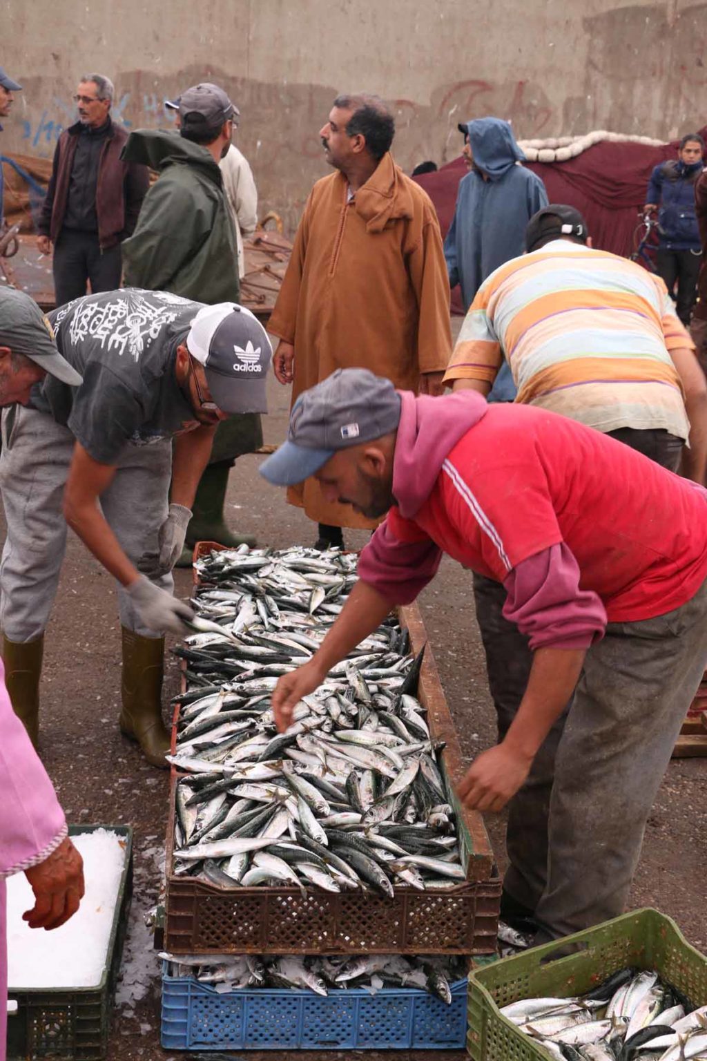 Morocco’s Charming Essaouira & Its Bustling Old Fishing Harbor | Planet ...