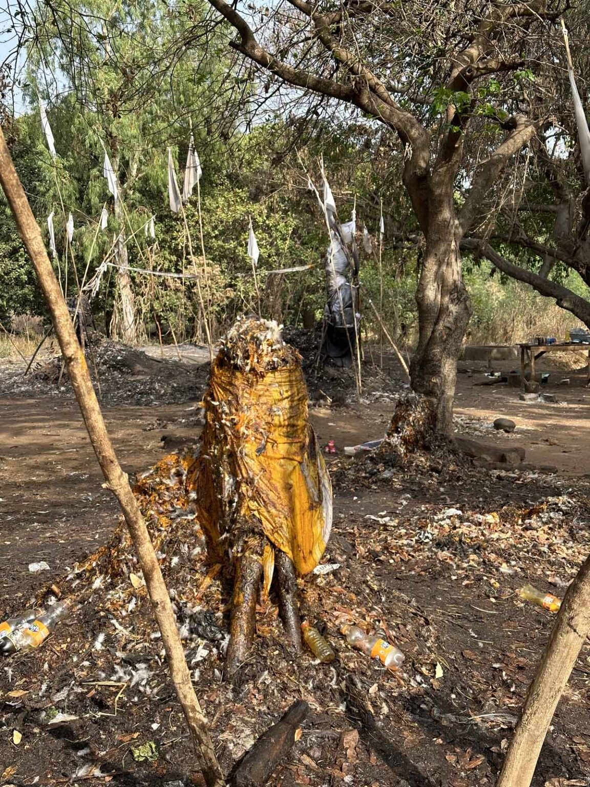 West Africa Highlights – Festive Ceremonies, Colorful Masks & Voodoo ...