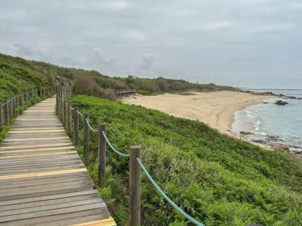 Walking the Camino Portuguese – Highlights of My Third Pilgrim Journey ...