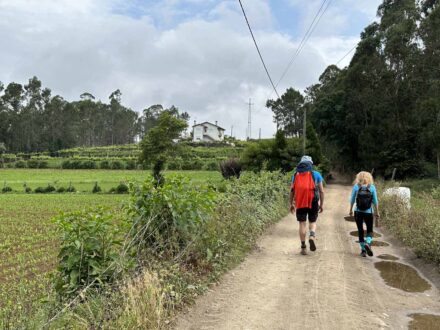 Walking the Camino Portuguese – Highlights of My Third Pilgrim Journey ...