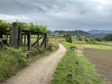 Walking the Camino Portuguese – Highlights of My Third Pilgrim Journey ...